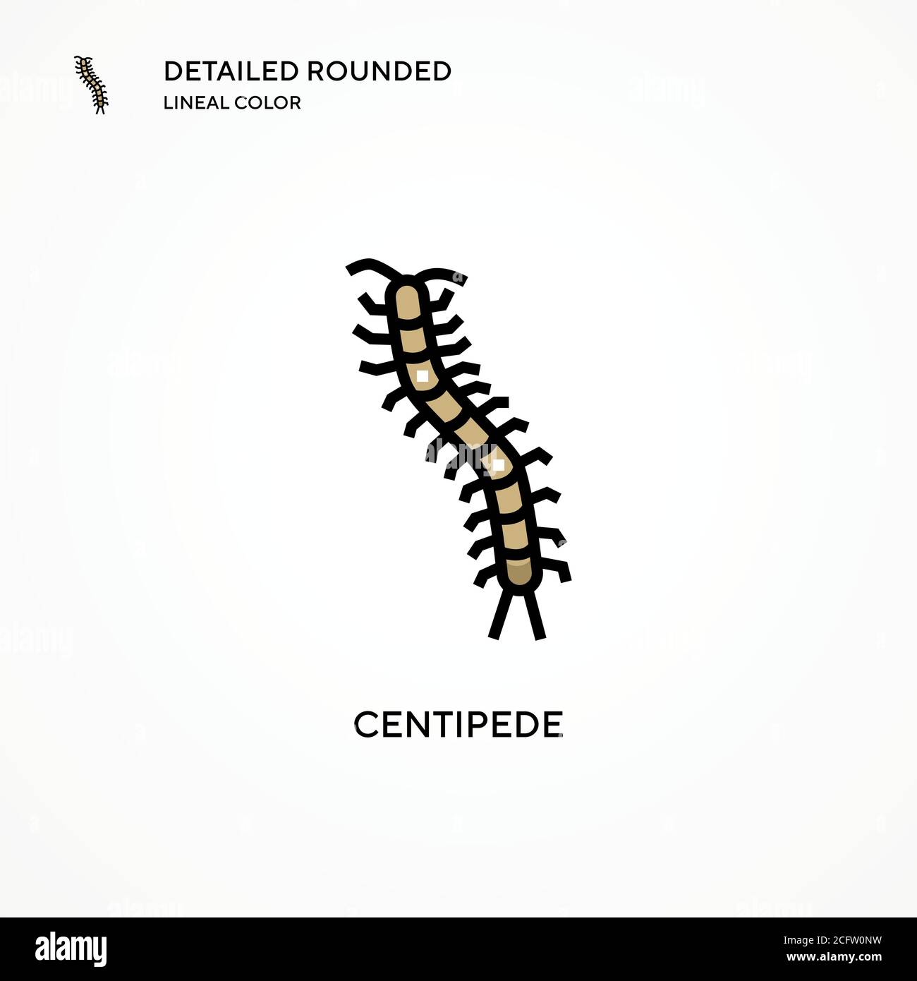 Centipedes vector vectors hi-res stock photography and images - Alamy