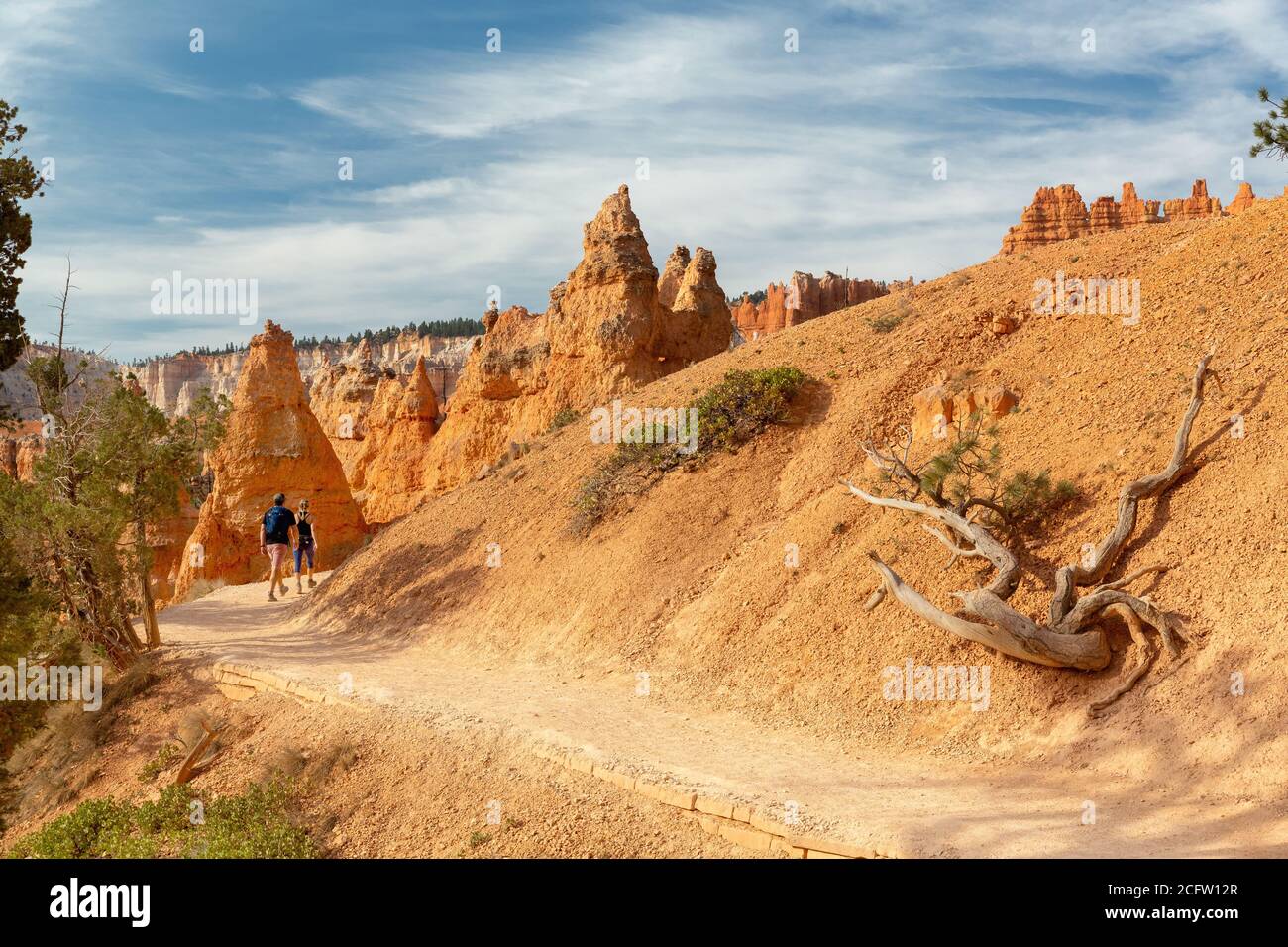 Two hikers exploring Navajo Loop Trail, Bryce Canyon National Park ...