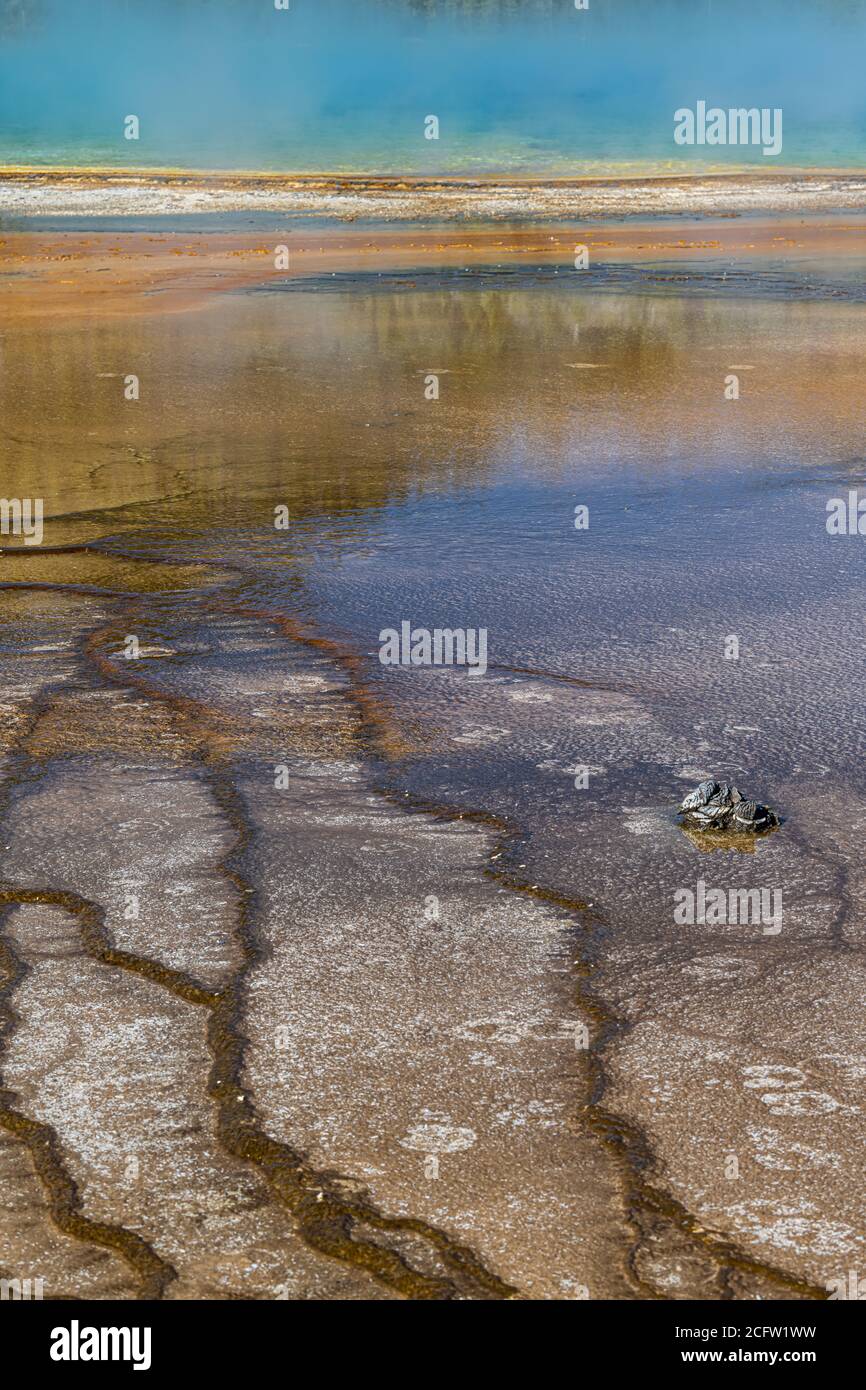 Tracks, Bacteria, and Mud Formations at the Grand Prismatic Spring ...