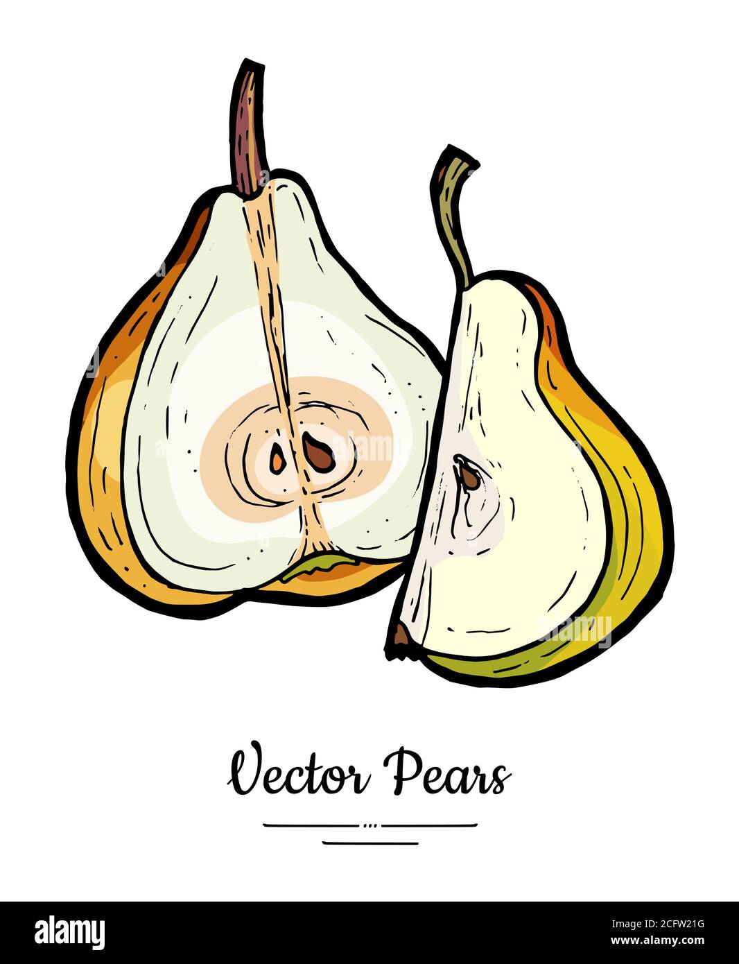 Pears fruits vector isolate. Green pear half cut chopped quarter slice ...