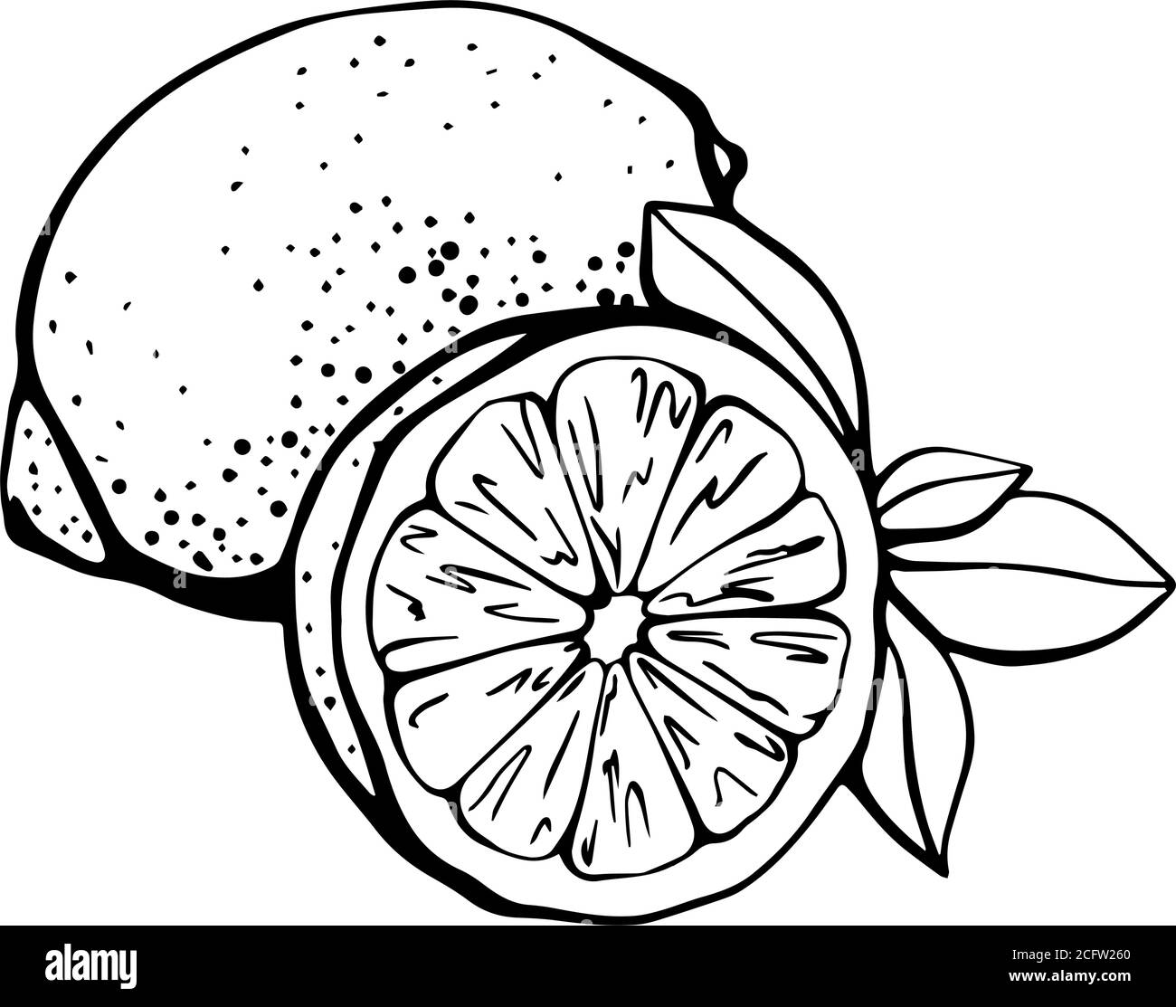 Lemon and lemon slice. Lemon isolated Stock Vector Image & Art - Alamy Lemon and lemon slice. Lemon isolated Stock Vector Image & Art - Alamy