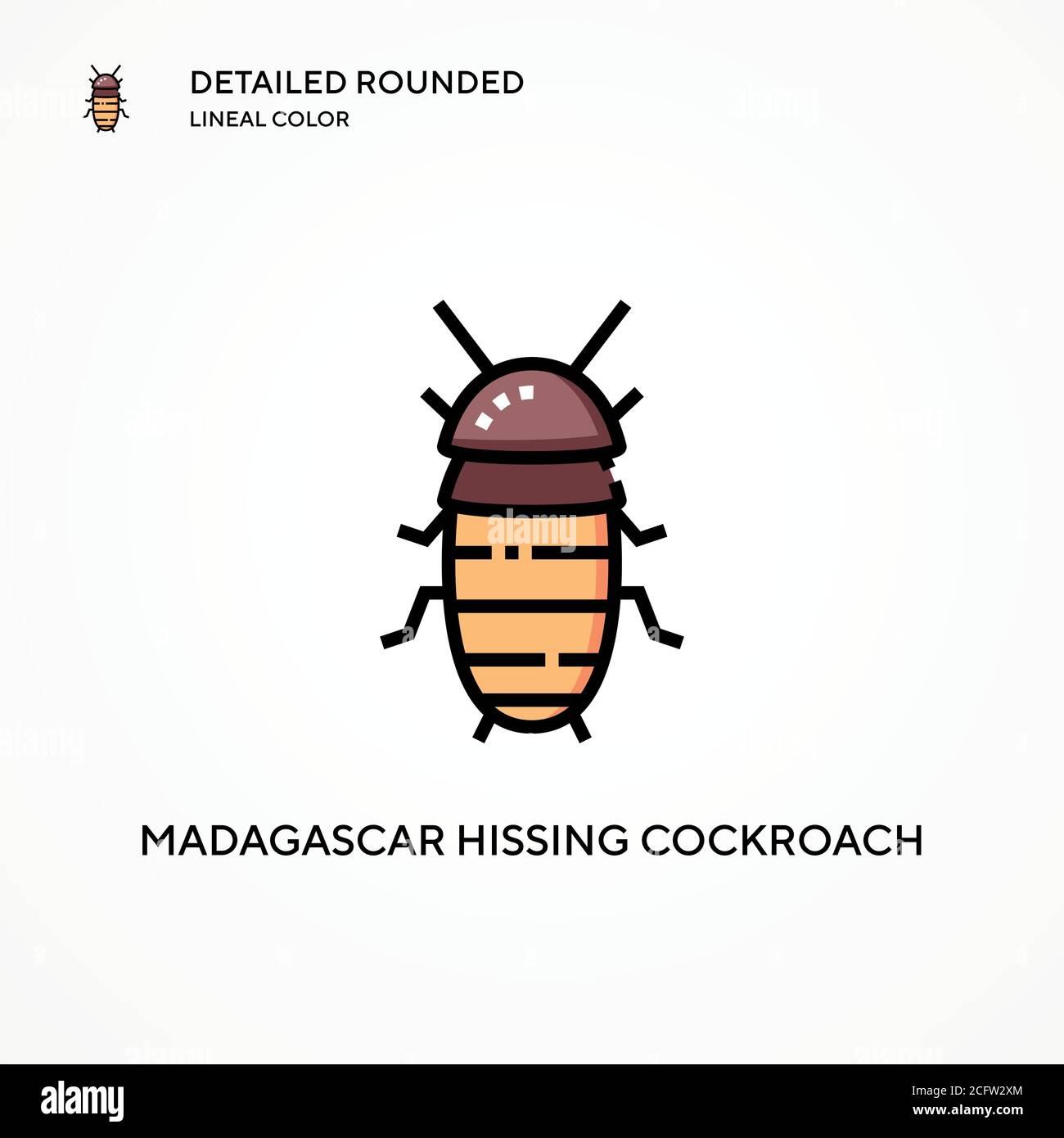Madagascar hissing cockroach vector icon. Modern vector illustration ...