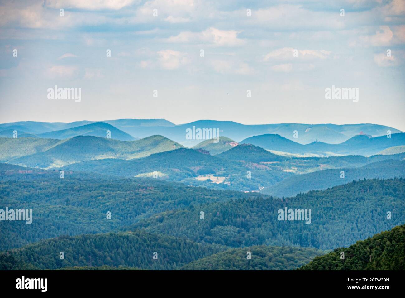 beatiful landscape of the pfälzer wald wood hills, rheinland-pfalz ...