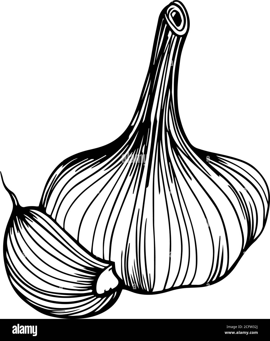 Natural immunity Stock Vector Images - Alamy