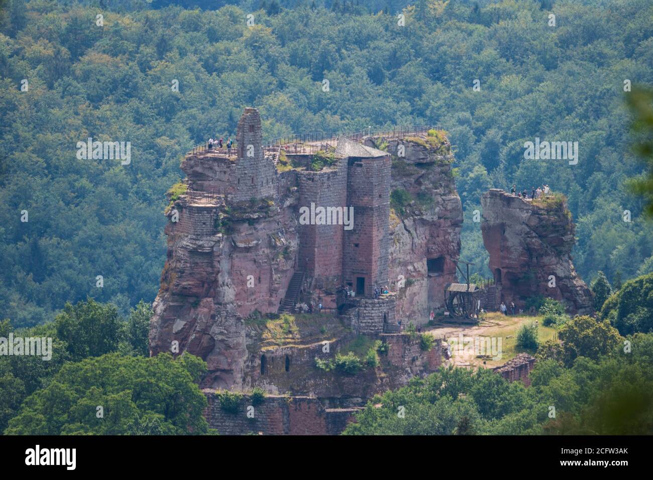beatiful landscape of the pfälzer wald wood hills, rheinland-pfalz ...