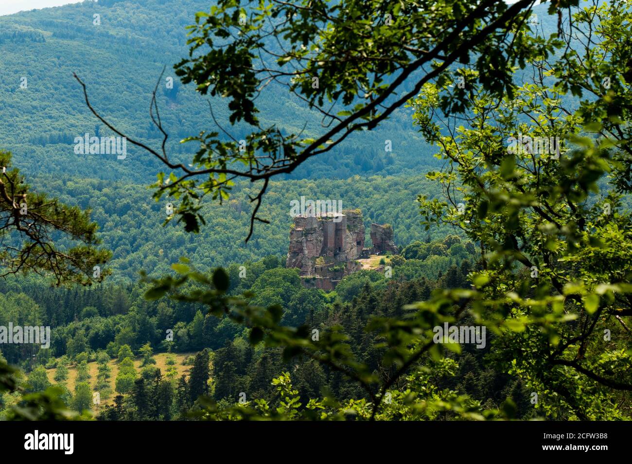 beatiful landscape of the pfälzer wald wood hills, rheinland-pfalz ...
