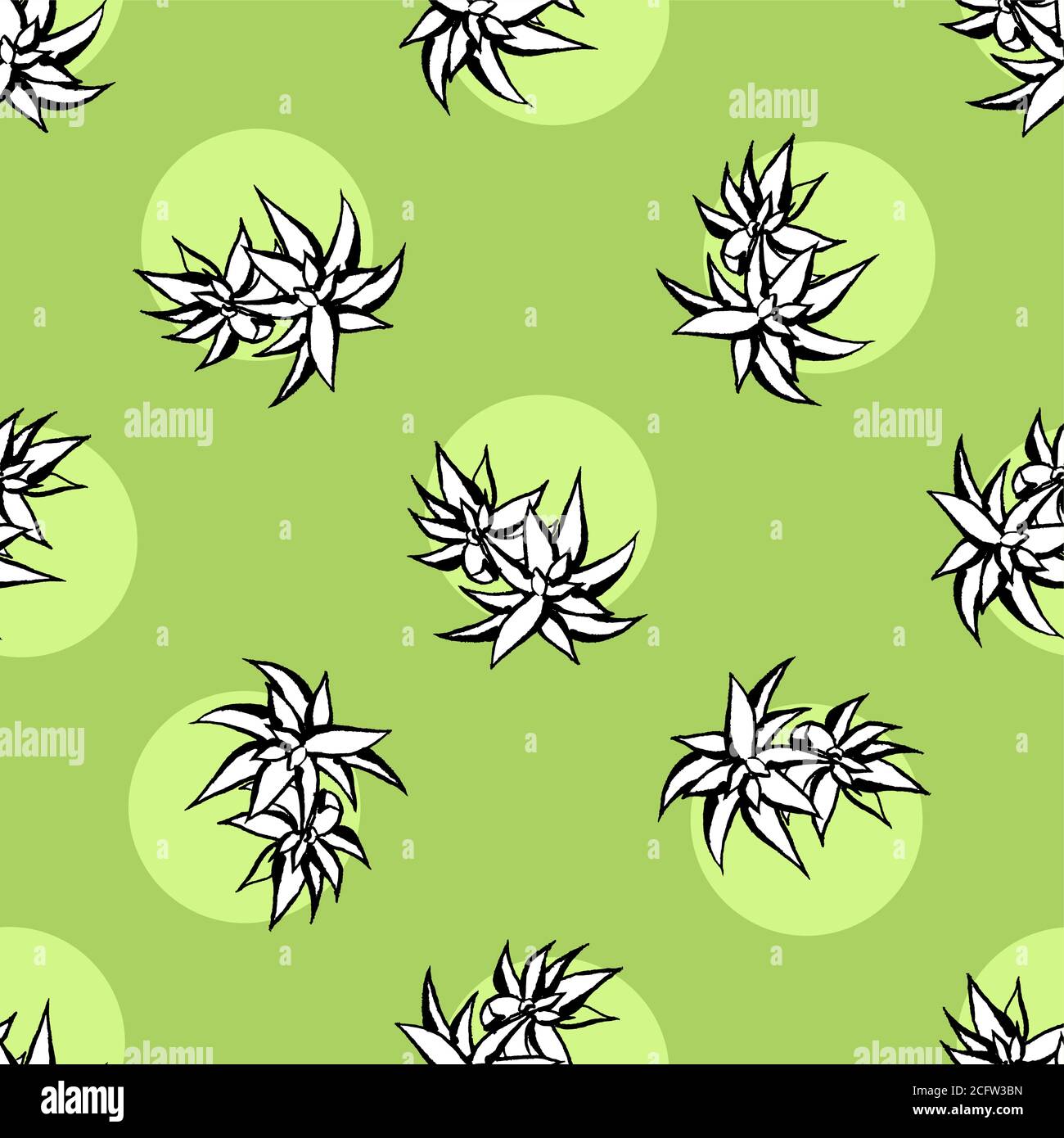 Cactus flower seamless vector pattern. Vector hand drawn green ...