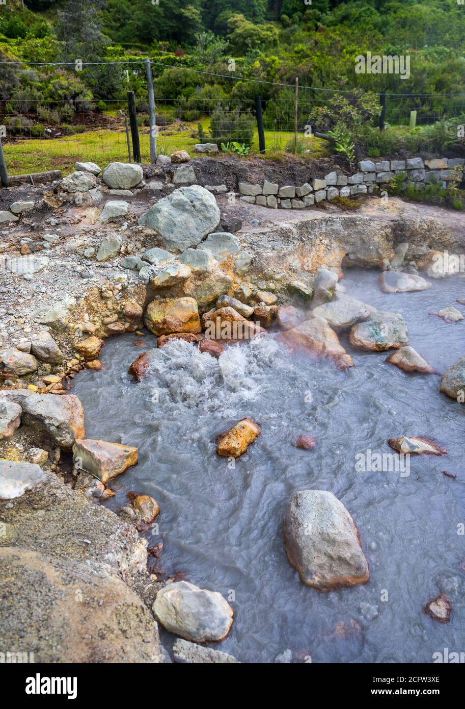 Hotsprings Of The Lake Furnas. Sao Miguel, Azores. Lagoa das Furnas ...