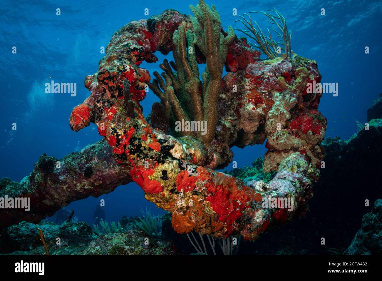 The anchor from the Royal Navy vessel, HMS Proselyte, sunk in 1801 in ...