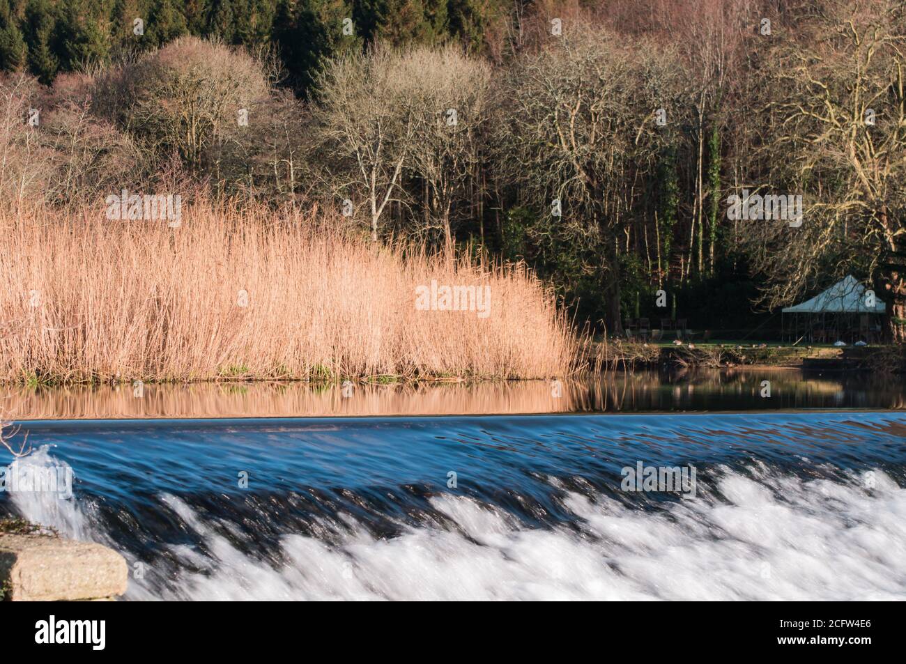 Lopwell dam nature reserve hi-res stock photography and images - Alamy