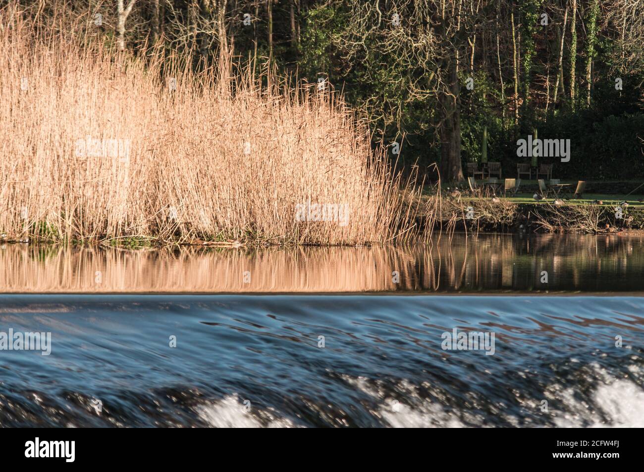 Lopwell dam nature reserve hi-res stock photography and images - Alamy