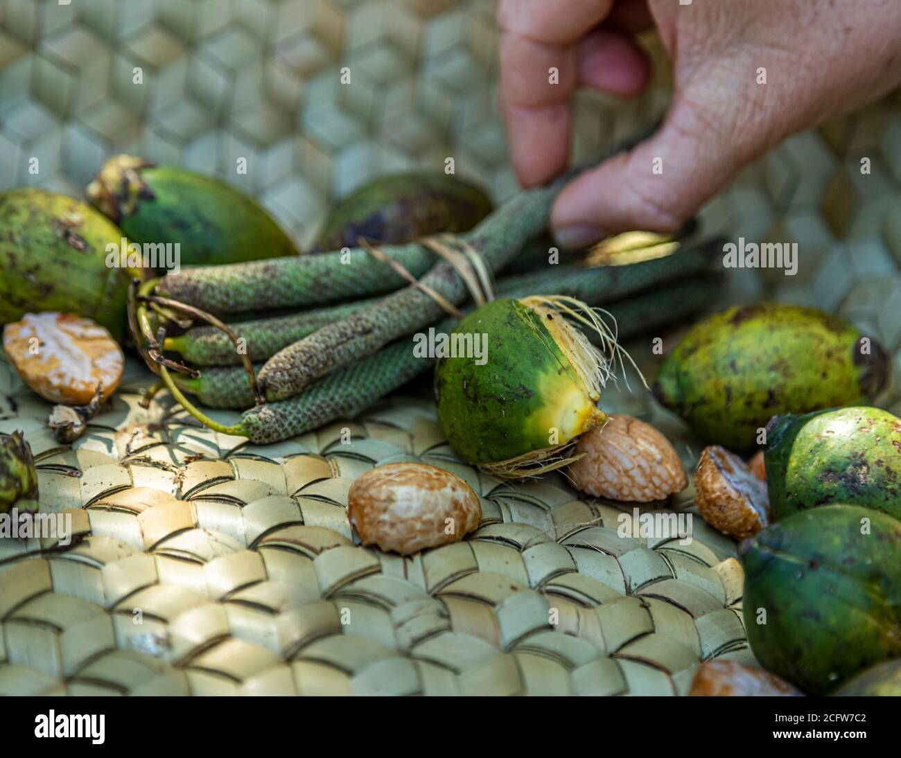 Betel bites consist of betel nuts, slaked lime, and various spices ...