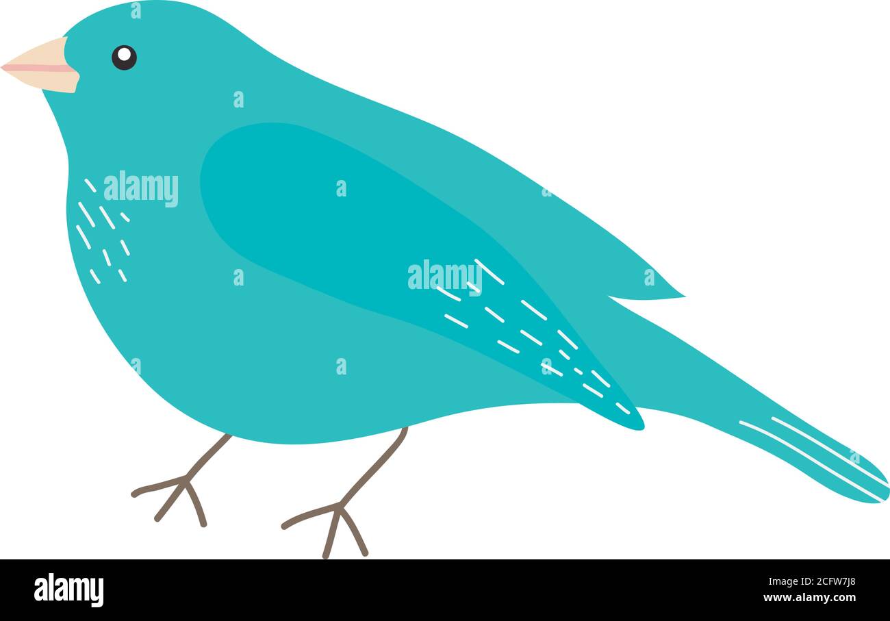 cartoon turquoise bird icon over white background, flat style, vector ...