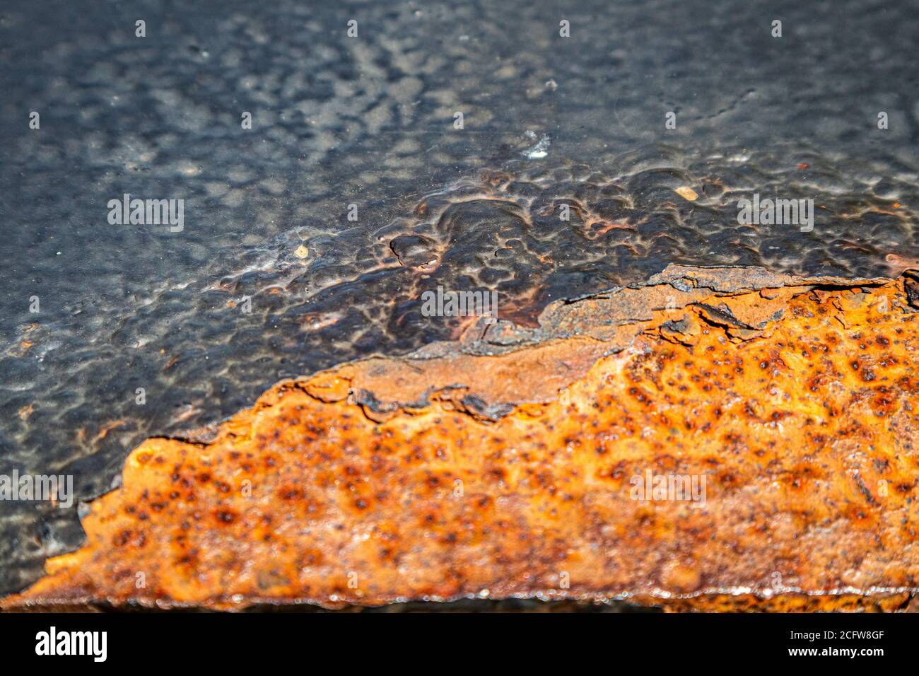 Stark Contrast High Resolution Stock Photography and Images - Alamy