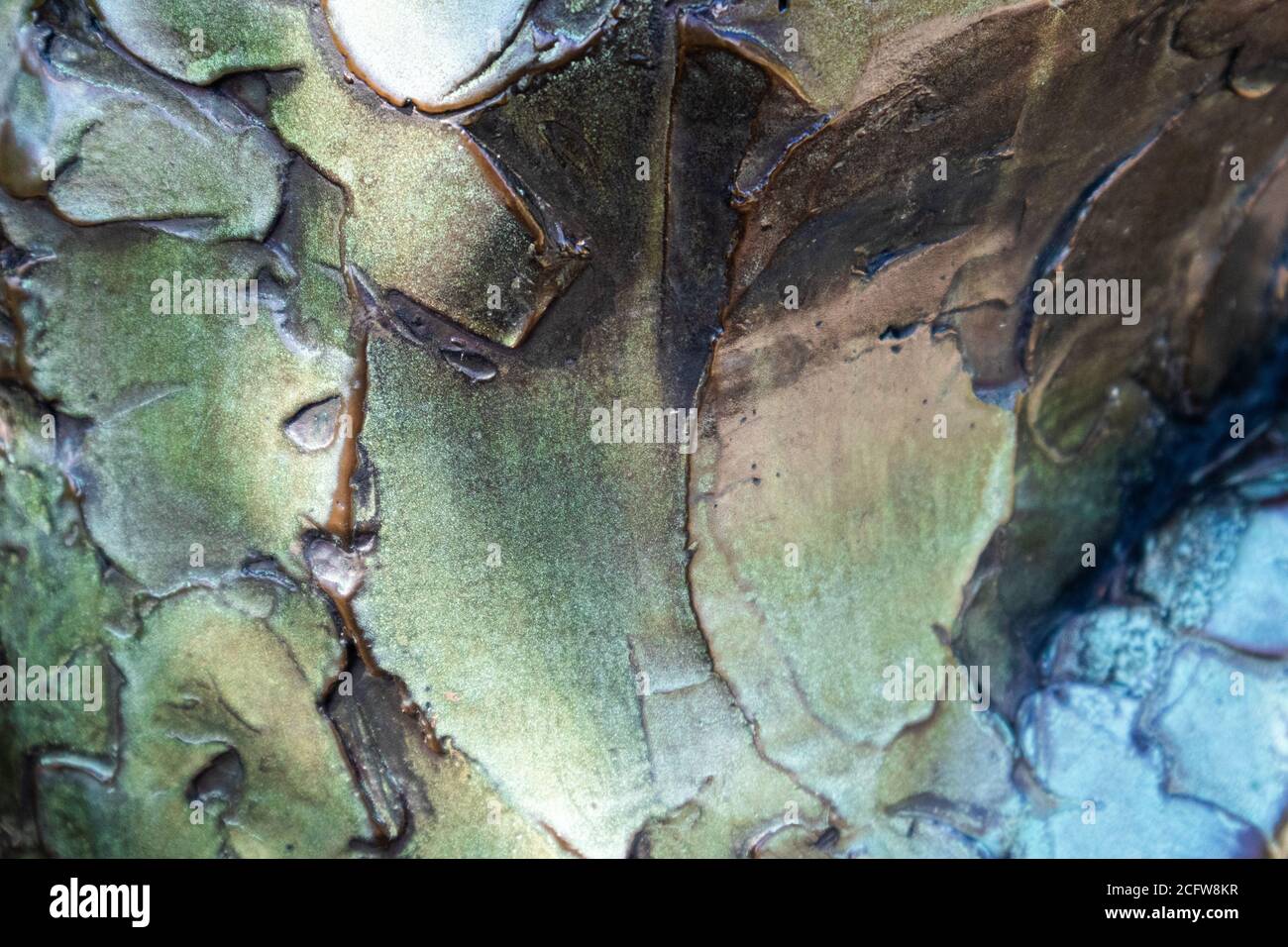 Scale texture hi-res stock photography and images - Alamy