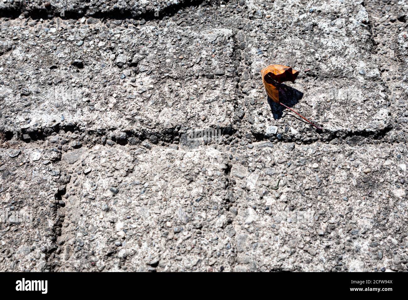 Detail of brick path with single autumn leaf Stock Photo - Alamy