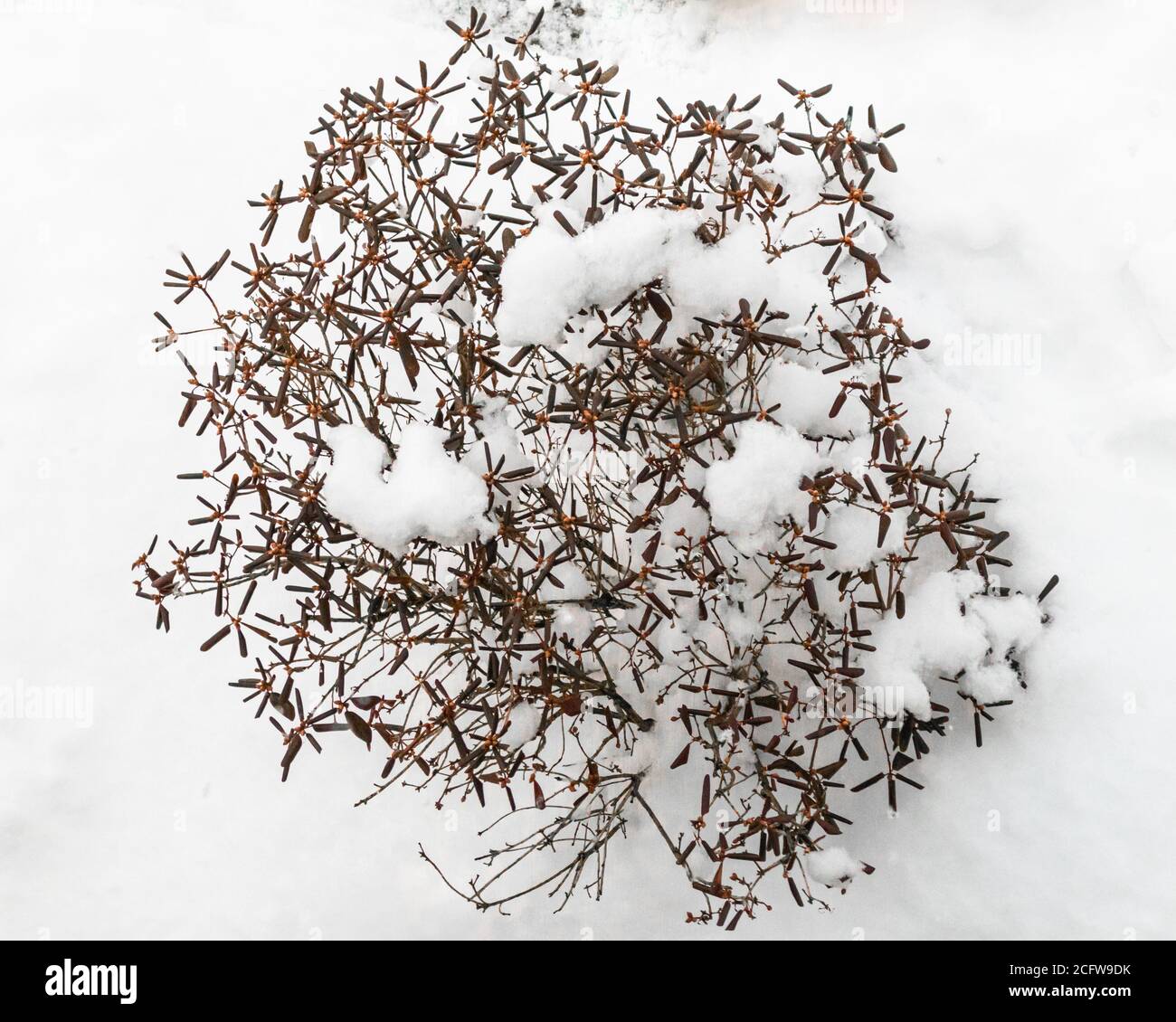 Top down shot hi-res stock photography and images - Alamy