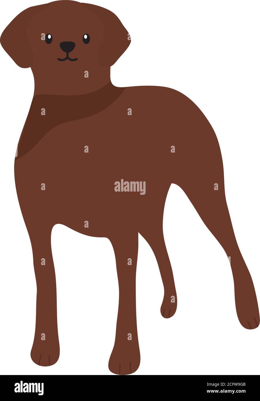 Cane corso art hi-res stock photography and images - Alamy