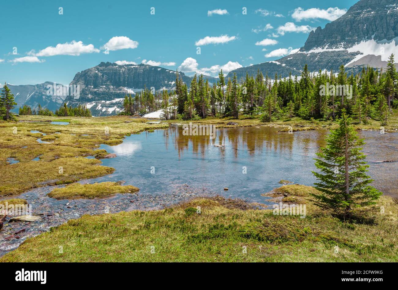 Image captured hiking Logan's Pass in Glacier National Park, MT Stock ...