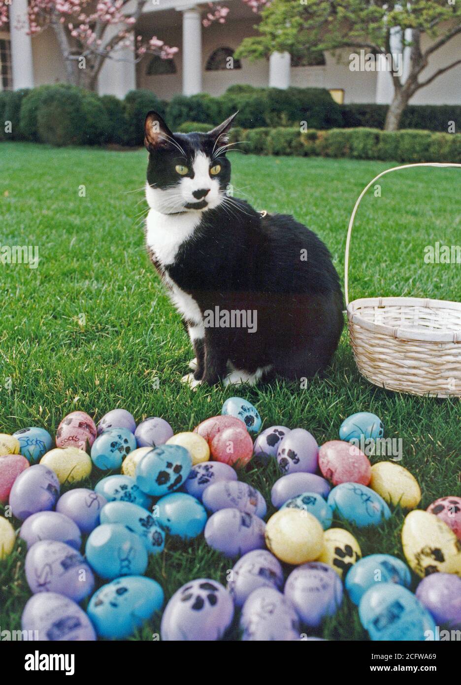 Bill clinton cat hi-res stock photography and images - Alamy