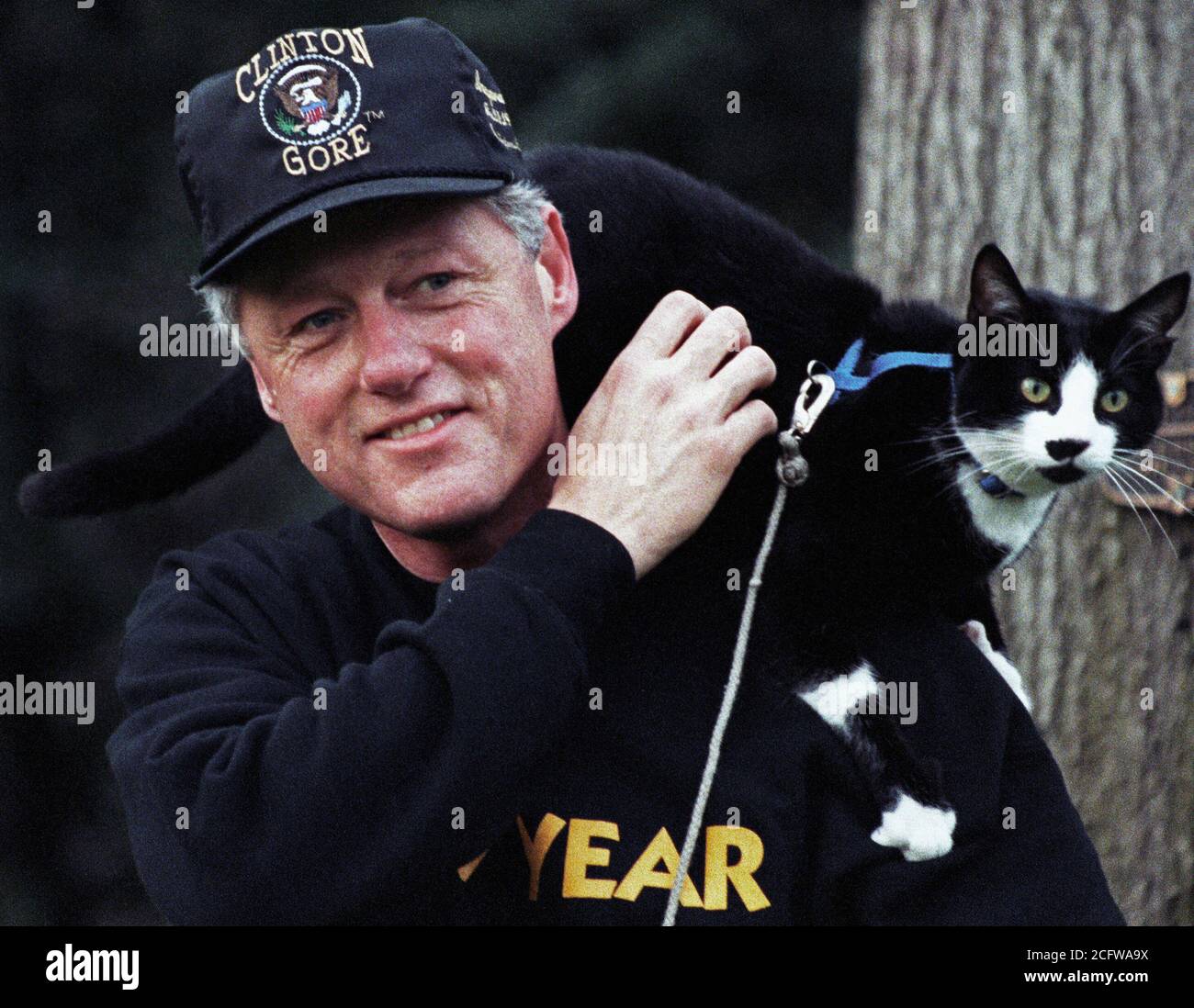 Poltical cats hi-res stock photography and images - Alamy