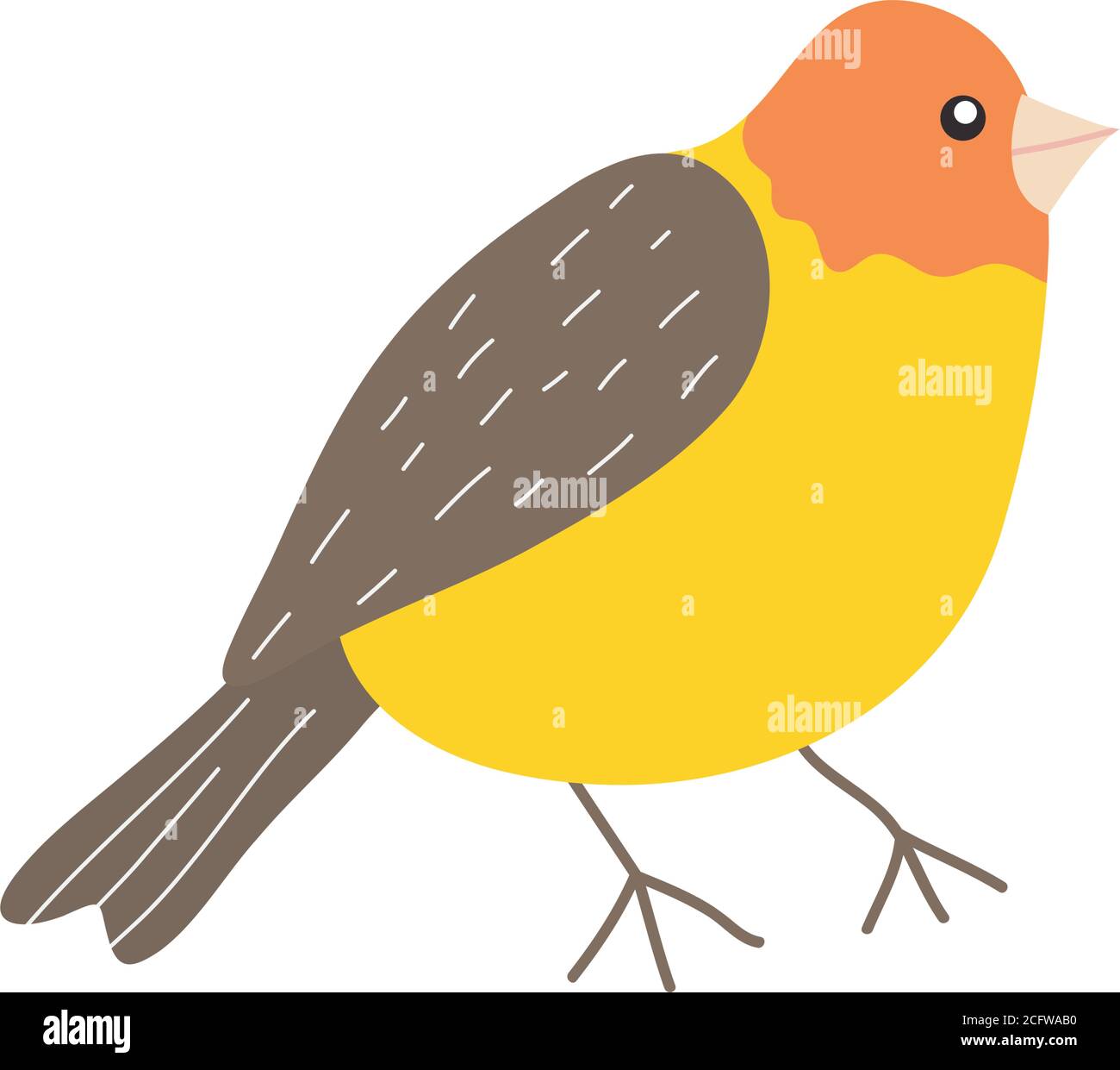cartoon finch bird icon over white background, flat style, vector ...