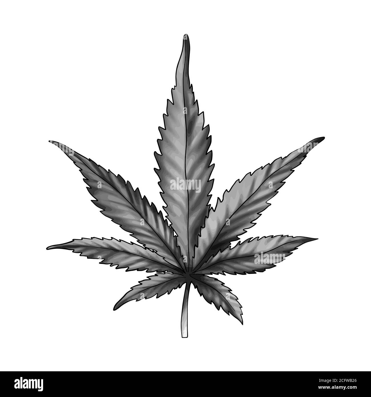 Black Weed Leaf
