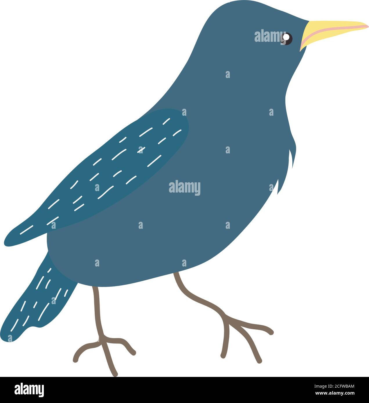 cartoon starling icon over white background, flat style, vector ...