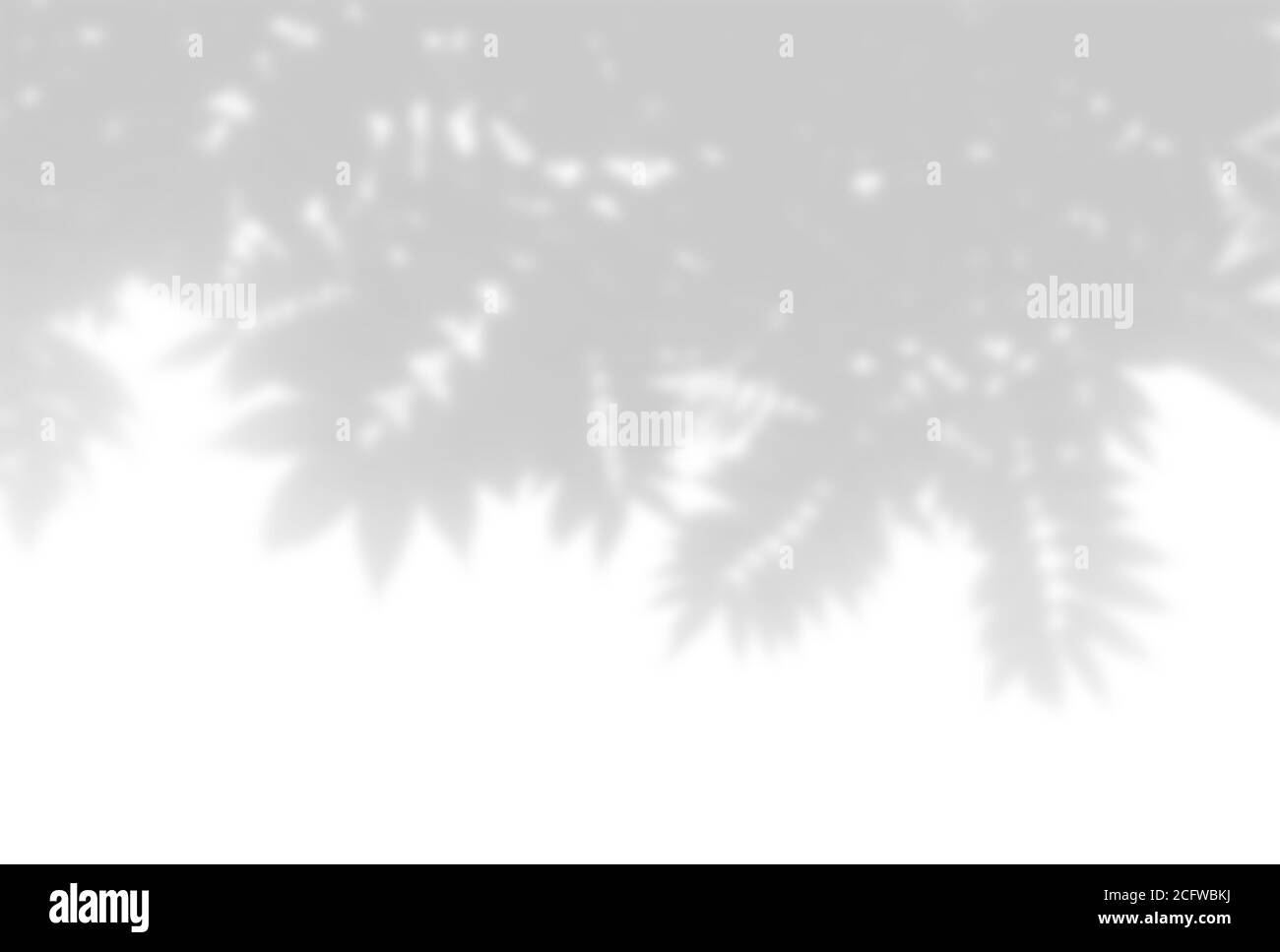 Summer background of plant shadows. Shadow from the leaves of a Rowan ...