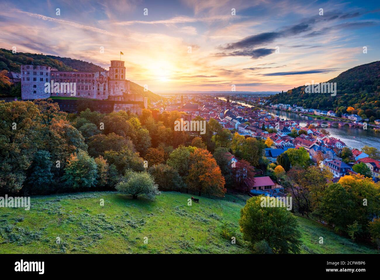 Heidelberg skyline aerial view from above. Heidelberg skyline aerial ...