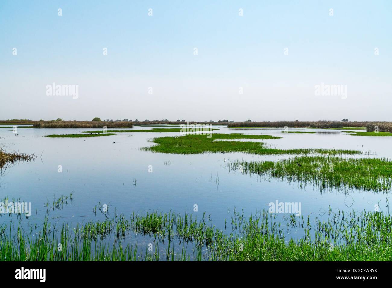 Ponds being flooded soon to be inhabited by thousand of waterfowl and ...