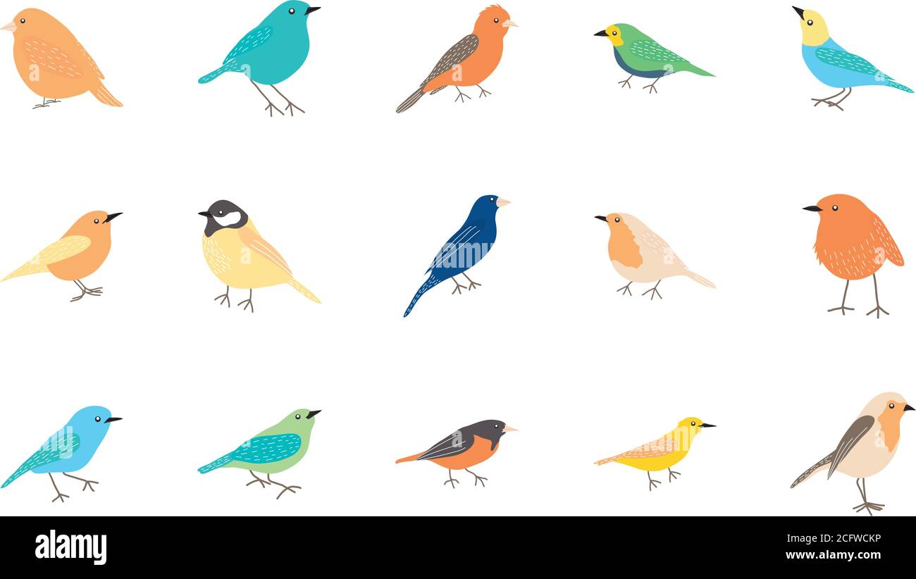 orange birds and birds icon set over white background, flat style ...