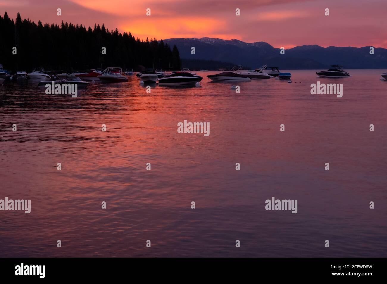 Rose gold color hi-res stock photography and images - Alamy