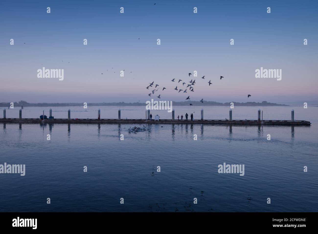 Beautiful scenery with fishing docks and seagulls flying Stock Photo ...