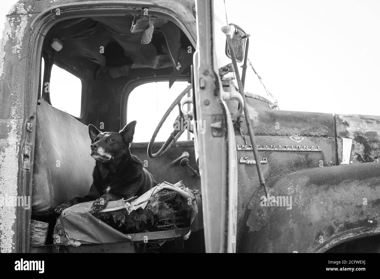 Cross resting Black and White Stock Photos & Images - Alamy