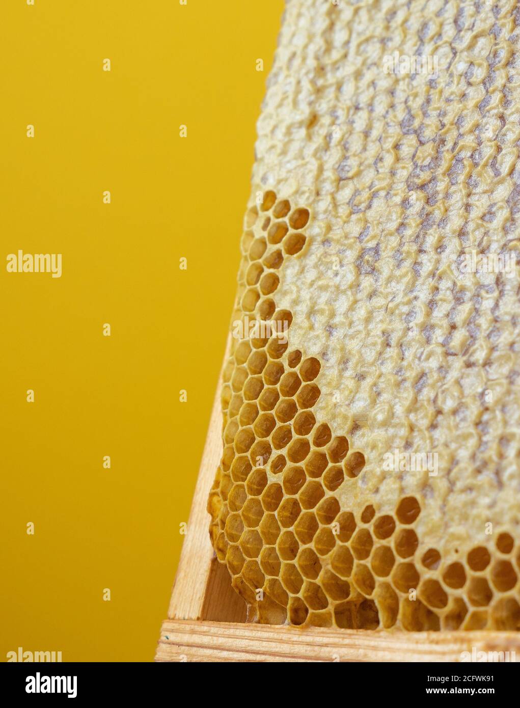 Frames of honeycombs. Fresh honey. Natural organic bee product. Healthy ...
