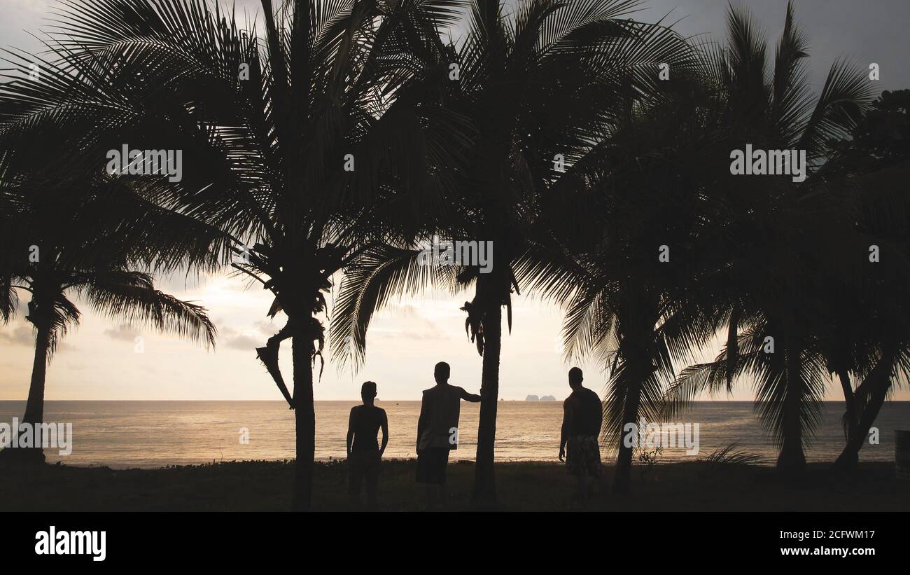 Silhouette group of people trees hi-res stock photography and images ...