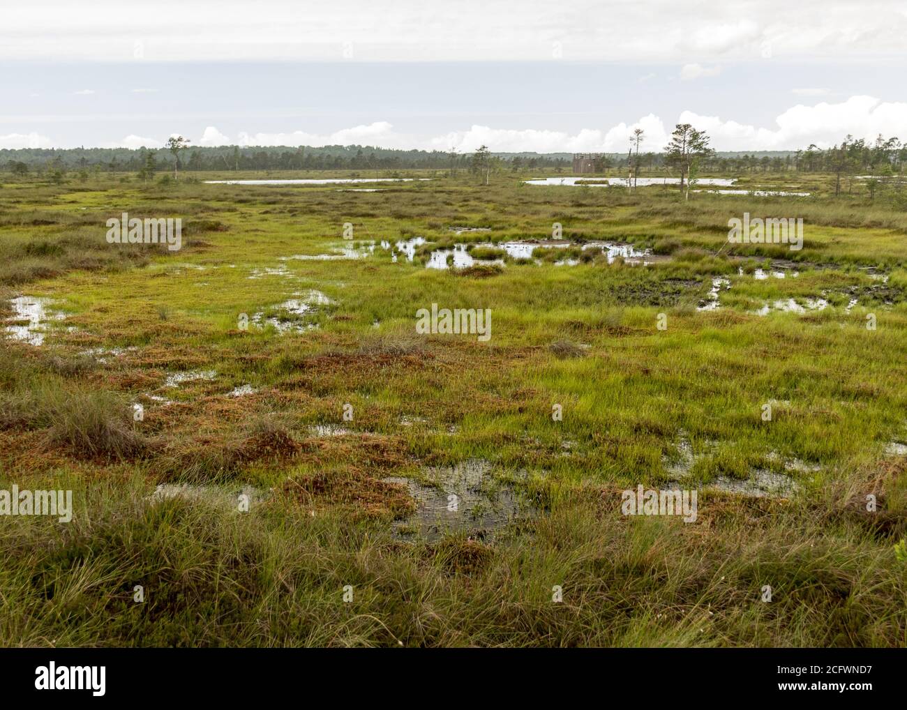 landscape with stunning bog views. beautiful clouds. View of the ...