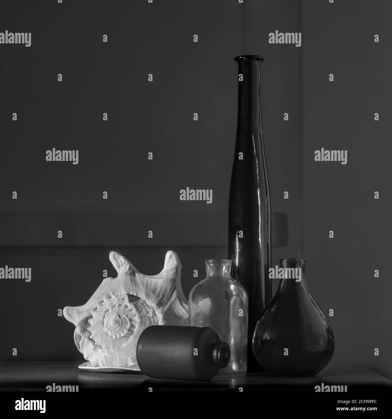 Conch shell black and white hi-res stock photography and images - Alamy