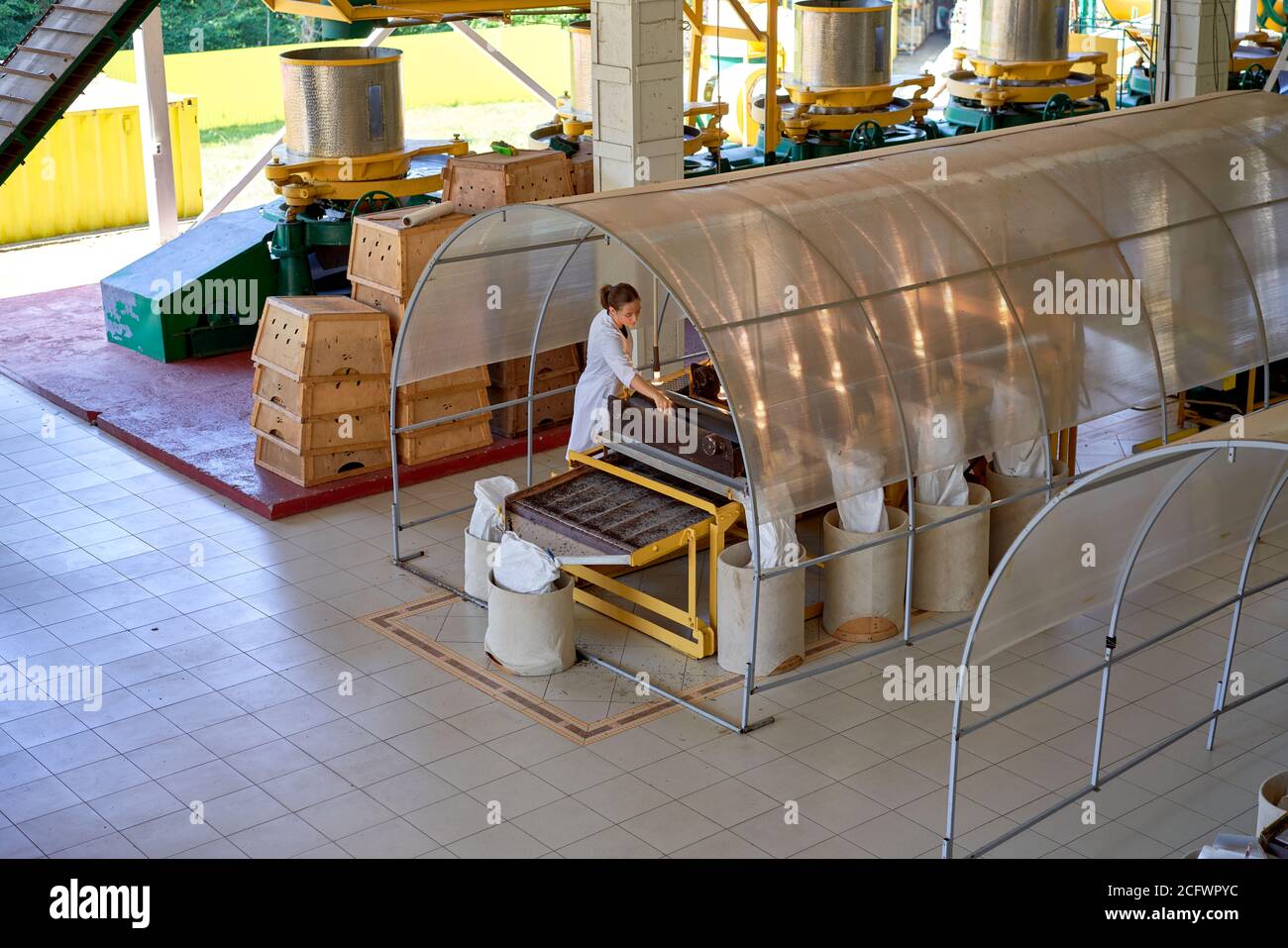processing of tea in the factory Stock Photo - Alamy