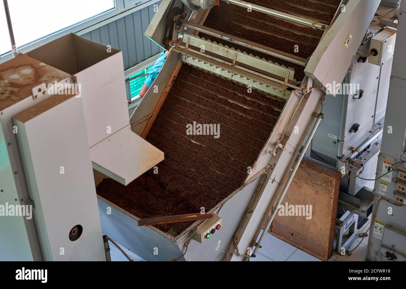 processing of tea in the factory Stock Photo - Alamy
