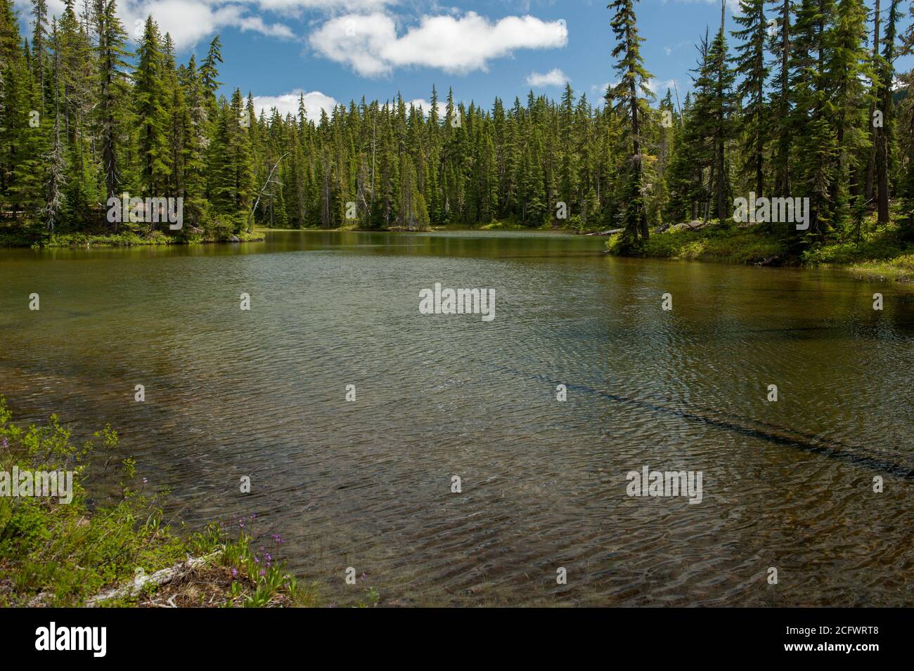 The lake named Alpine Lake, along the historic pioneer Emigrant Trail ...