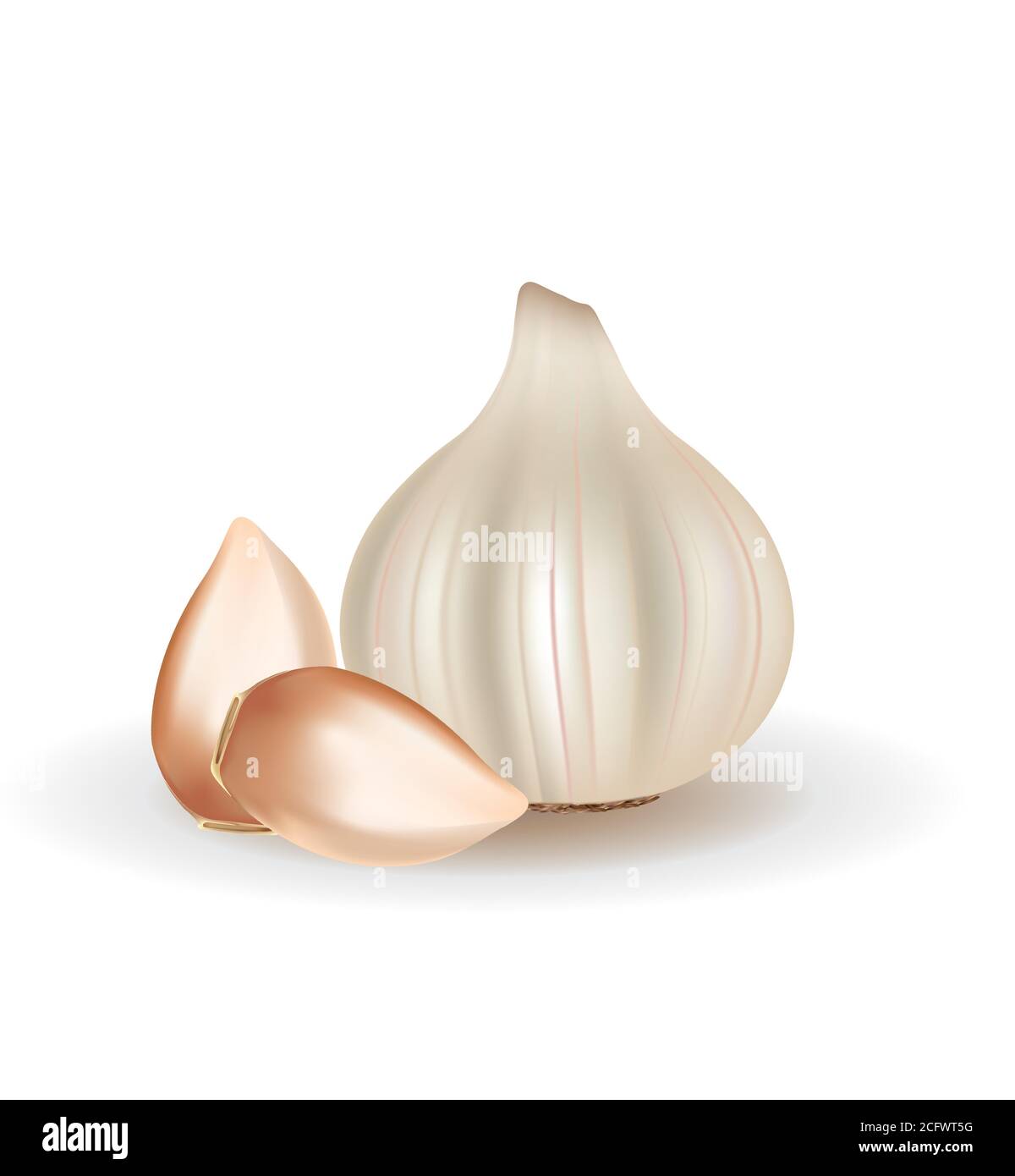 Whole and slices of garlic. vector Stock Vector Image & Art - Alamy