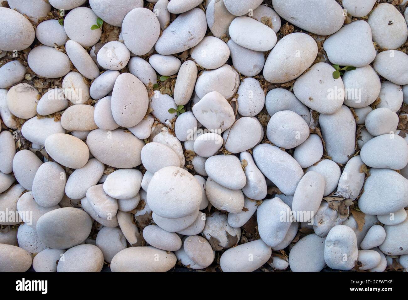 Stone wall rounded stones hi-res stock photography and images - Alamy
