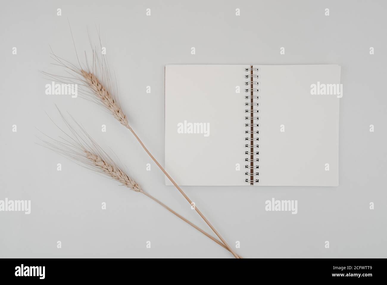 Blank spiral bound sketchbook or journal diary with Barley dry flower ...