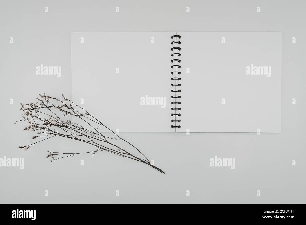 Blank spiral bound sketchbook or journal diary with Limonium dry flower ...