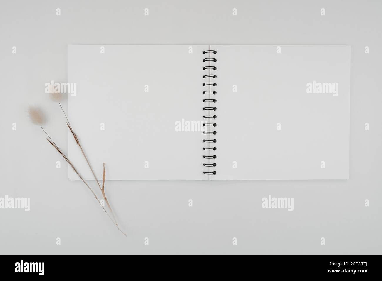 Rabbit drawing hi-res stock photography and images - Alamy