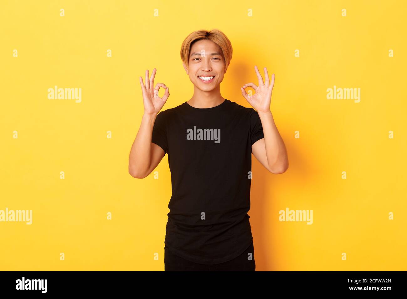 Portrait of smiling confident asian guy, looking pleased, showing okay ...