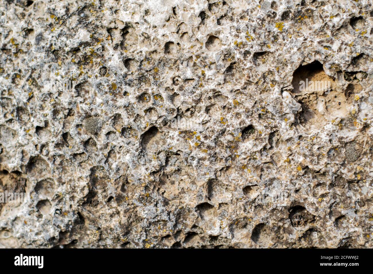 Coquina block masonry hi-res stock photography and images - Alamy