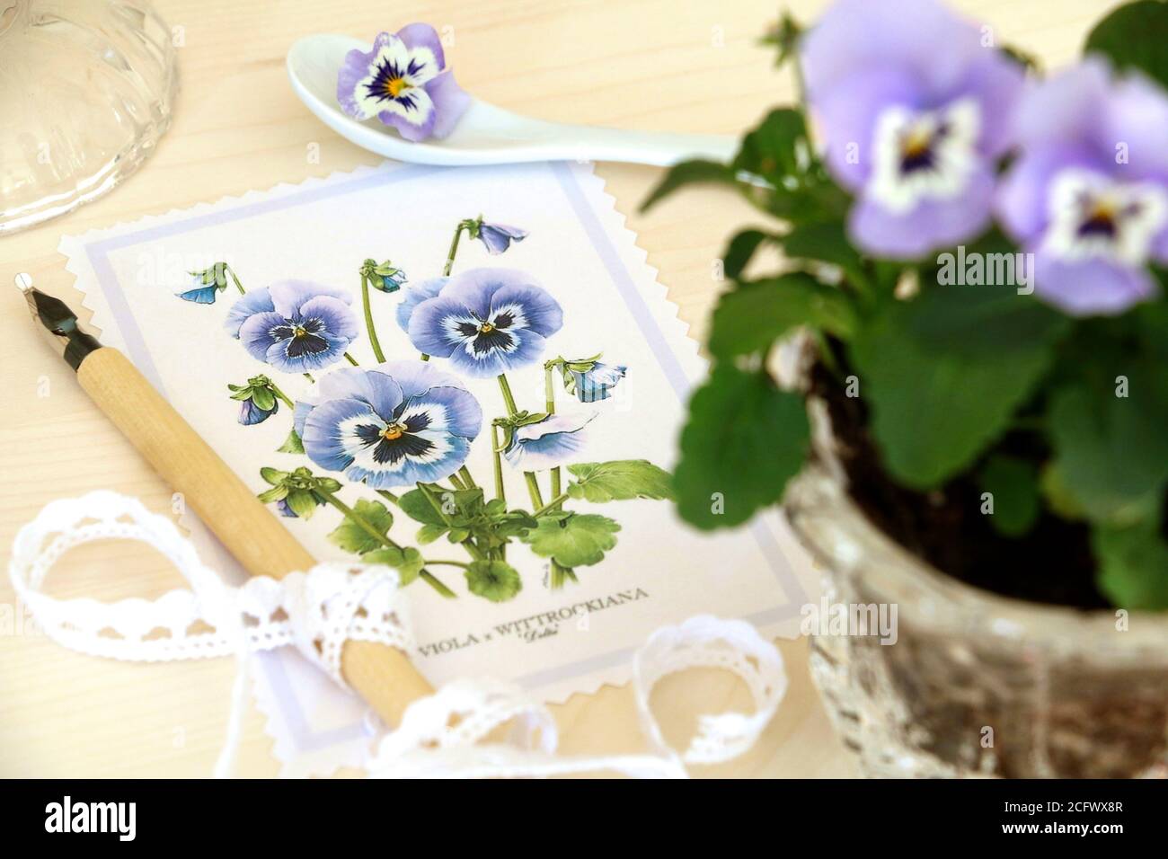 romantic decoration with viola flower in blue and white, a card and a ...